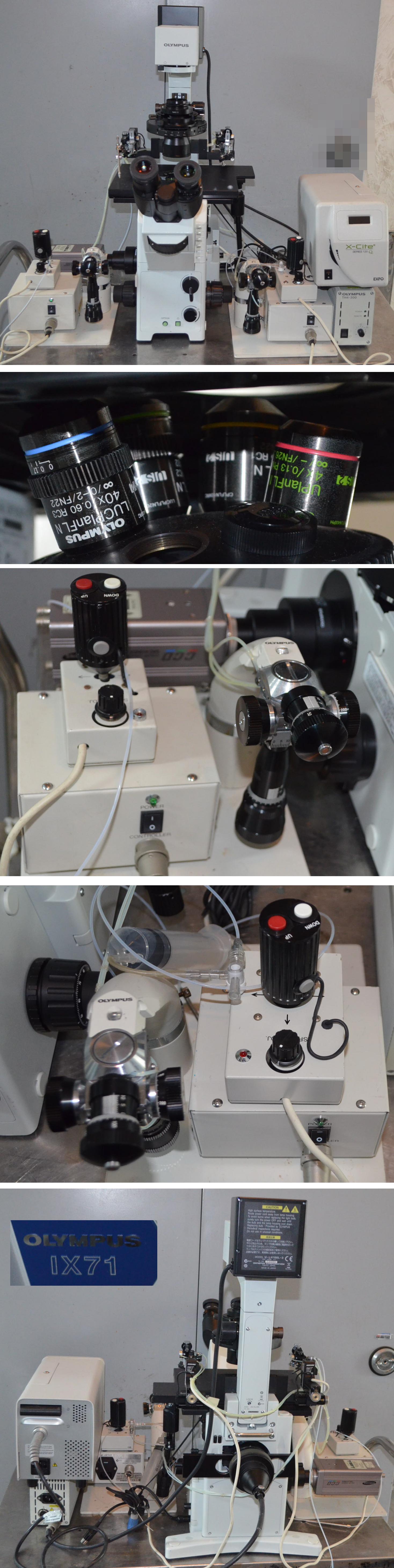 소리전자 - ★★★ Olympus IX71 Inverted Microscope & NARISHIGE